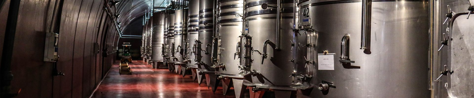 IT Management Forum | Обзоры событий ProКачество